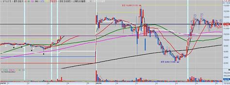 형지글로벌 형지iandc 등 탄핵 선고에 따른 정치 관련주들 급 등락