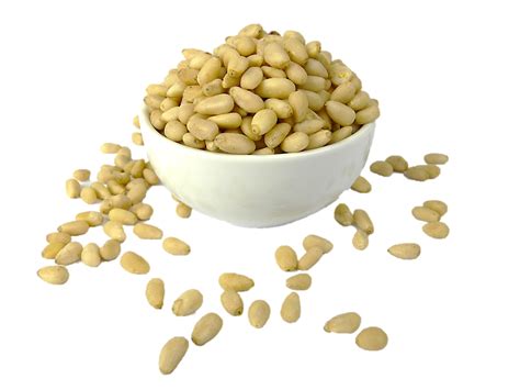 Pine Nut Kernals Trutaste