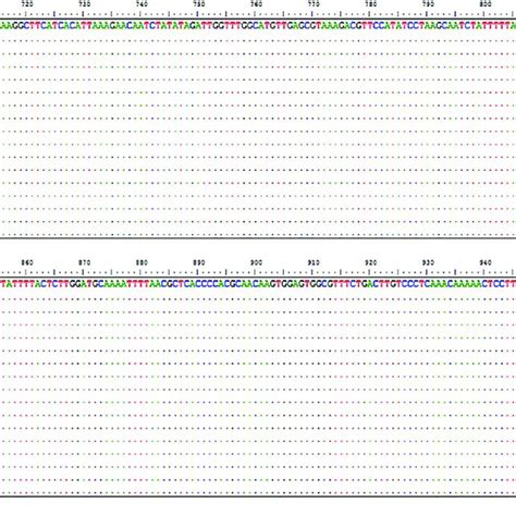 multiple sequence alignment of orf1ab gene with selected mers cov