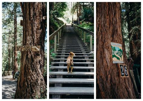 Dipsea Trailhead Mill Valley Photos At James Farris Blog