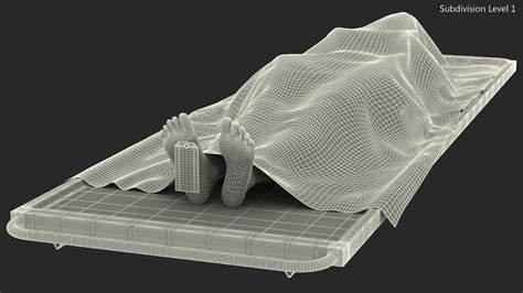Female Dead Body Covered With Cloth 3d Model 59 3ds Blend C4d