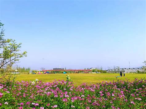 杭州转塘户外团建真人CS烧烤拓展场地蓝城双浦原乡团建拓展基地 弘道培训团建拓展杭州萧山湘湖滨江余杭临安富阳德清安吉千岛湖桐庐建德嘉兴亲子
