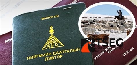 МАЛЧДЫН НДШ ИЙН 50 ХУВИЙГ ТӨРӨӨС ХАРИУЦАХАД 25 1 ТЭРБУМ ЗАРЦУУЛНА