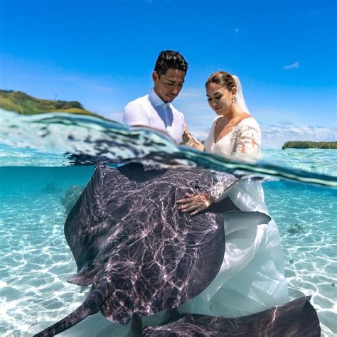 Moorea Underwater Photography Ce Quil Faut Savoir Pour Votre Visite