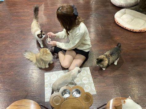 田中めいさんのインスタグラム写真 田中めいinstagram「このために生きてる☺︎」12月12日 13時36分 Meicatmeow