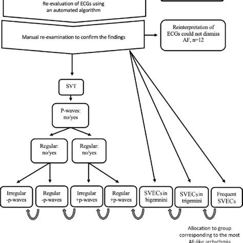 Supraventricular Tachycardia Classification A Regular Svt With Download Scientific Diagram