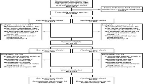 Complex Hyperplasia With And Without Atypia Clinical Outcom Obstetrics And Gynecology