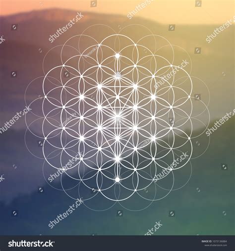 Tree Life Sacred Geometry Kabbalah Symbol Vetor Stock Livre De