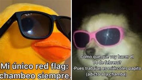Soy Adicto A La Chamba Los Mejores MEMES Con Frases Chambeadoras De