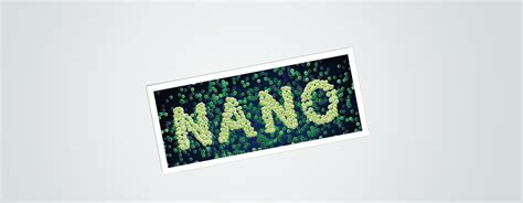 النانو تكنولوجي وحل مشكله مقاومه الآفات النقاء لمكافحة الحشرات برأس الخيمة الأمارات العربية