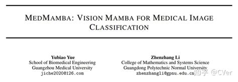mamba再下一城！medmamba：医学图像分类的视觉mamba csdn博客