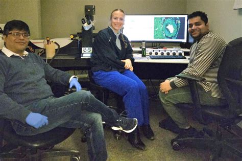 Immunofluorescence Is More Than Just A Technique Its A Window Into The Intricate World Of