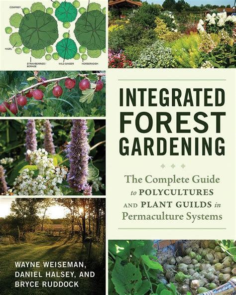 Integrated Forest Gardening Food Forest Garden Forest Garden