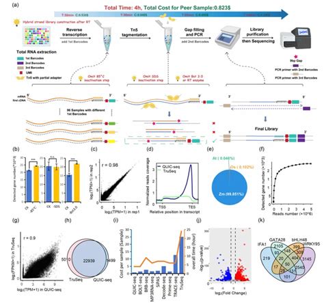 中国农业大学农学院 学术科研 Pbj 中国农业大学汪海团队开发快速、低成本、高通量转录组建库技术