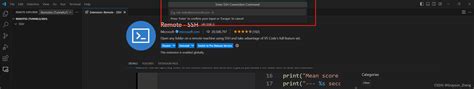 Vs Code 远程连接 Ssh 服务器vscode连接ssh远程服务器 Csdn博客