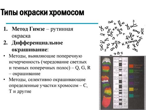 Генетика человека Наследственные болезни Лекция 6 презентация онлайн