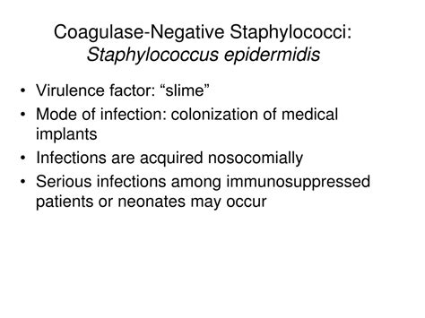 Ppt Staphylococcus Human Pathogen And Skin Commensals Overview
