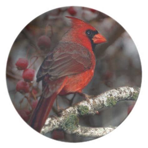 White Berries Primitive Christmas Red Cardinal Dinner Plate Primitive