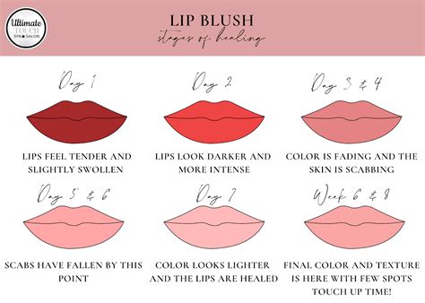 Lip Blush Ultimate Touch Spa