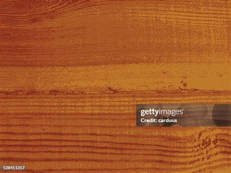 Beech Texture High Res Illustrations Getty Images