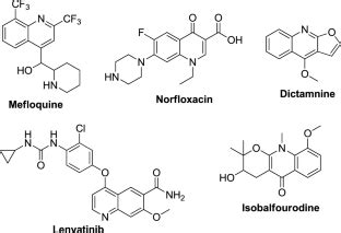Molecular Diversity X Mol