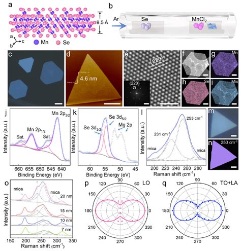 Cvd Synthesis And Characterizations Of 2d α Mnse Flakes A Crystal