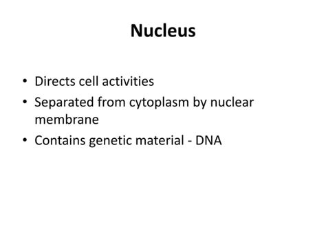 Human Physiology Cell Structure Function I Lecture July Ppt Biological Sciences Science
