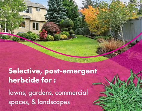 Pro Crabgrass And Grassy Weed Killer Sanco Industries