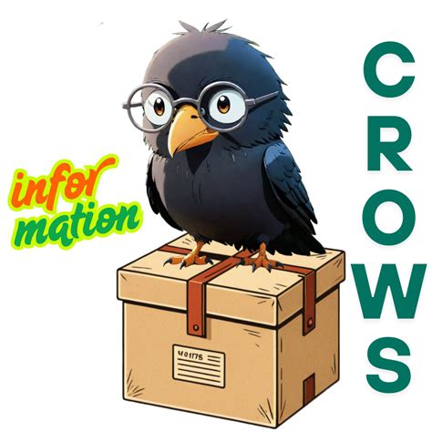 자동차 번호판 교체 및 재발급 방법｜분실·훼손·도난 시 대처법 총정리