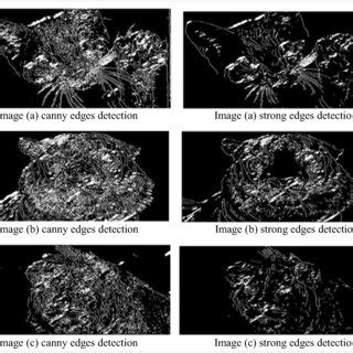 Edge Detection For Image B By Using Canny Method Download Scientific Diagram