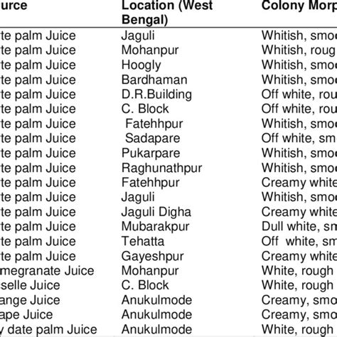 Different Yeast Isolates From Different Sources With Colony Morphology