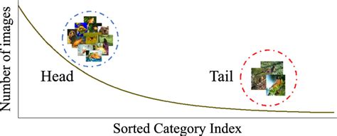 Large Scale Real World Datasets Often Exhibit A Long Tail Distribution