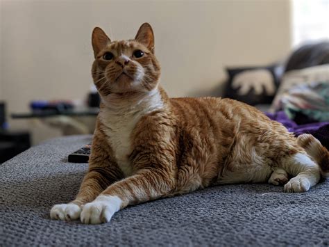 My Lumpy Babe Has Some Serious Peanuts Scrolller