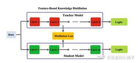 ijcv21 knowledge distillation a survey 知识蒸馏综述报告 知乎