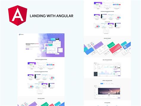 A Massive Web Application Using Angularjsangular Upwork