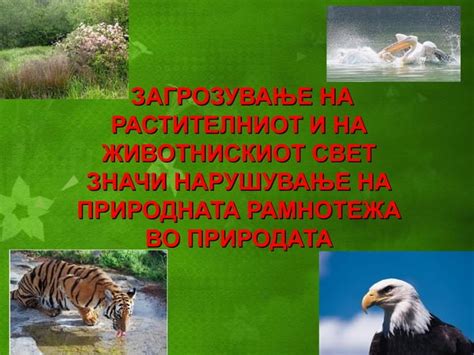 загадување и заштита на животната средина Ppt