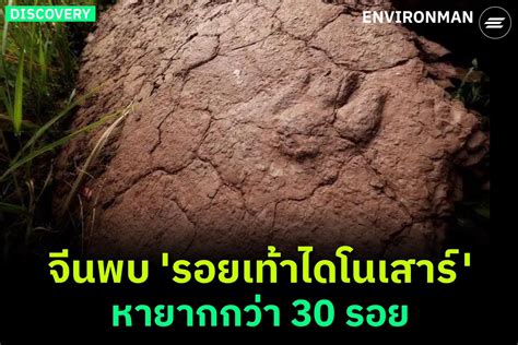 Environman จีนพบฟอสซิล ‘รอยเท้าไดโนเสาร์ หายากกว่า 30