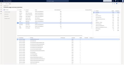 User Security Governance License Usage Summary Finance And Operations