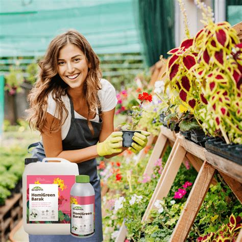 Homigreen Barak Sheffa