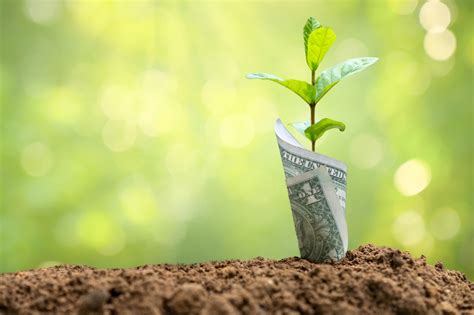 Por Qué Estamos Viendo Tantos Acuerdos En Etapa Inicial En Fintech