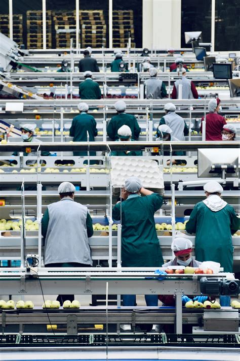 Food Systems Action Lab Institute Of Design