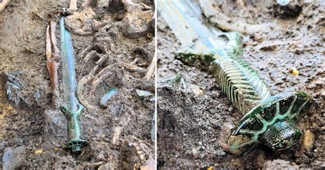 The Epoch Times On Linkedin Archeologists In Germany Find Decorated