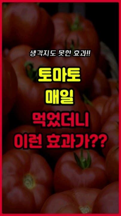 토마토 매일 먹었더니 이런 효과가 Youtube