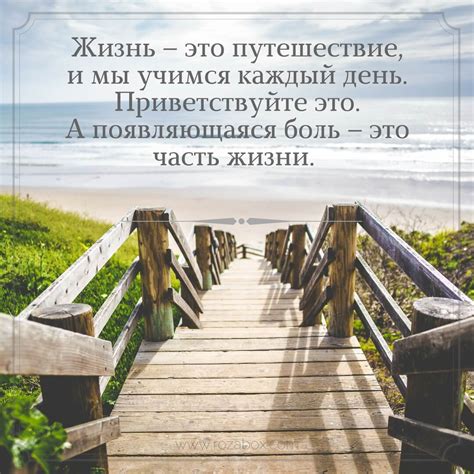 Самые красивые цитаты о жизни - RozaBox.com