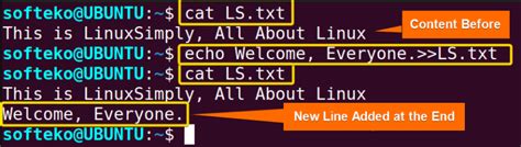 The Echo Command In Linux 7 Practical Examples