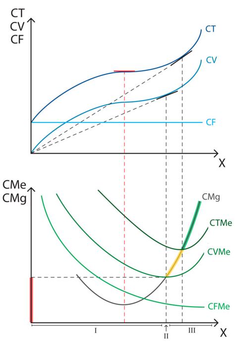 Coste Medio Y Coste Marginal Policonomics