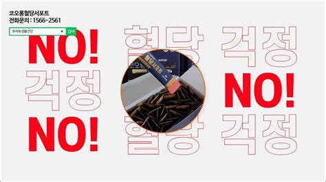 혈당건강 걱정되신다면 식후혈당상승억제에 도움을 줄수 있는 코오롱혈당서포트 1일 2회 1회 4000mg 고함량 섭취로 혈당