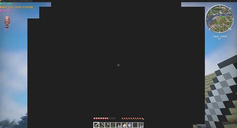 Bug Report Iris 126 Minecraft 119lux Ea B2 P1 Huge Black Area