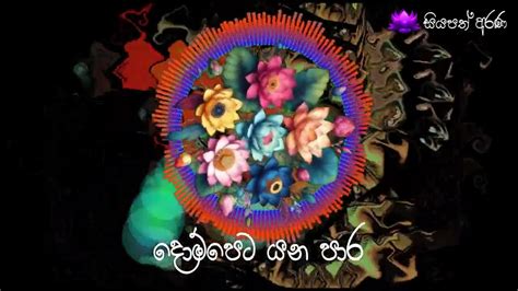 දොම්පෙට යන පාර Youtube
