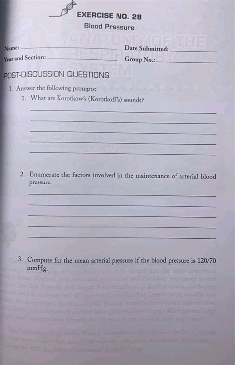 Exercise No Blood Pressure Post Discussion Studyx